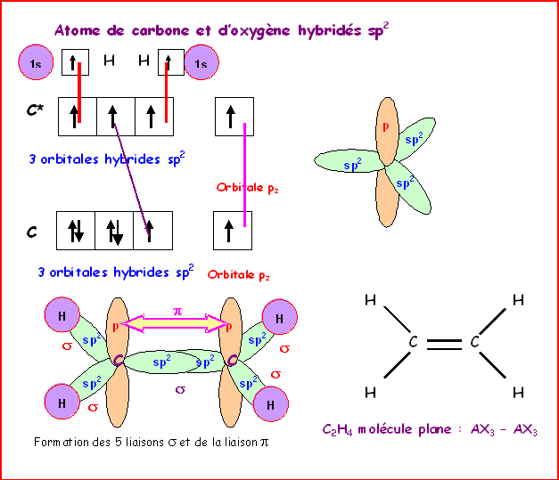 ISOMERIE E,Z DES ALCENES